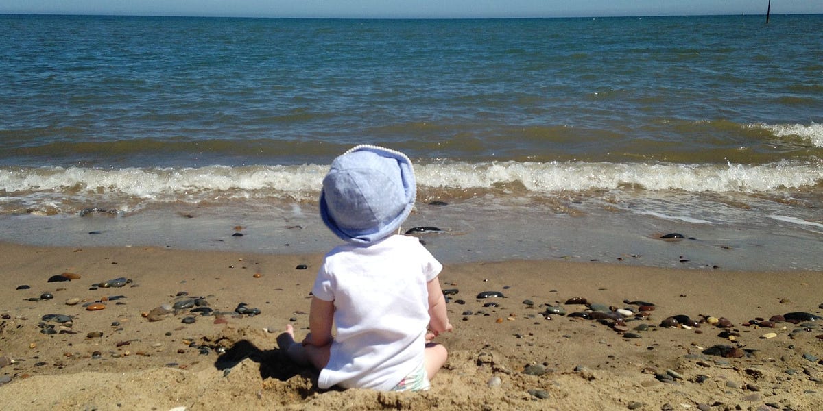 Plucked from chaos - by David Bocking - Sheffield Tribune